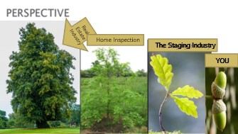 tree growth comparison to staging | CSP Int'l Certified Staging Courses